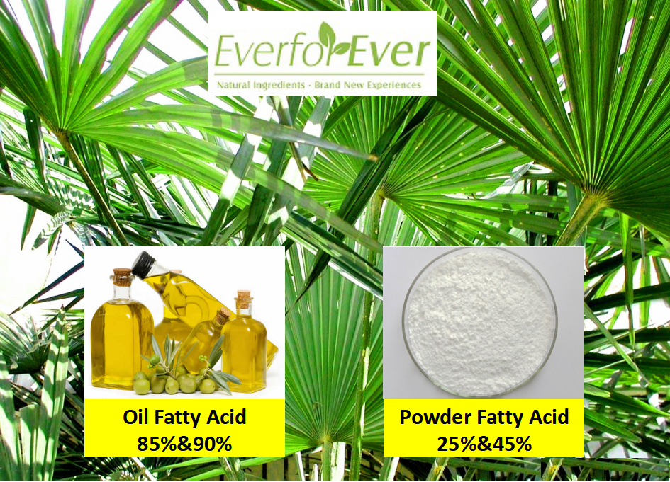 International Saw Palmetto Extract Supplier | Ever forever Bio