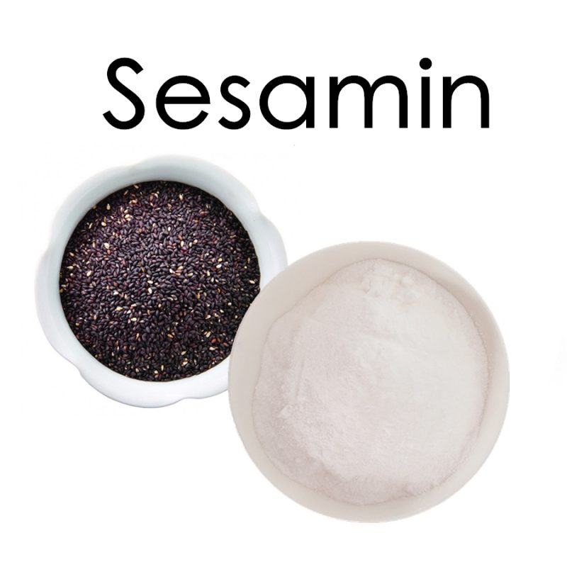 Sesamin,Black Sesame Extract Supplier and Factory-EverforEverBio