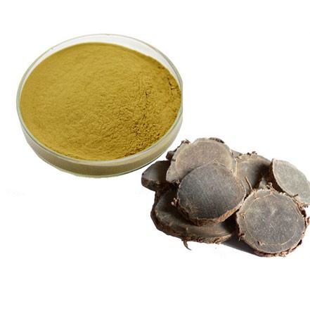 Black Ginger Extract supplier - EverforEverBio