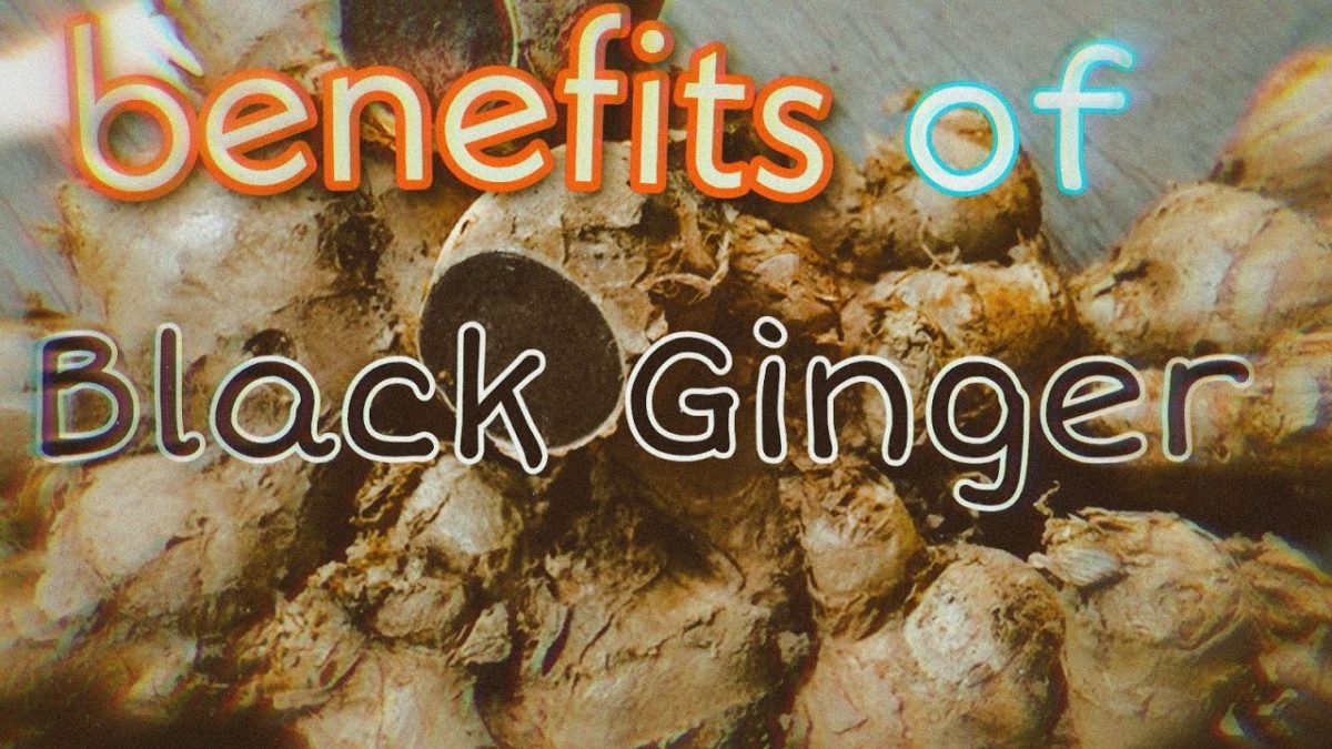 Black Ginger Extract - From Unknown to the First Raw Material for ...